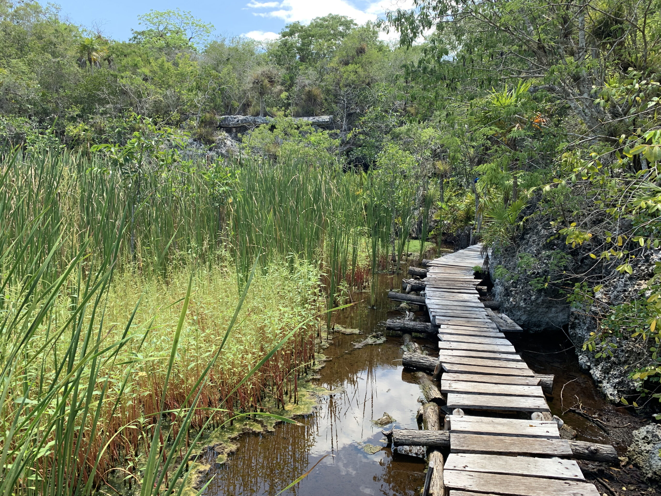 The Flory Lab – Plant Community and Ecosystem Ecology at the University ...