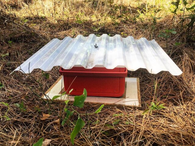 Photos – The Flory Lab